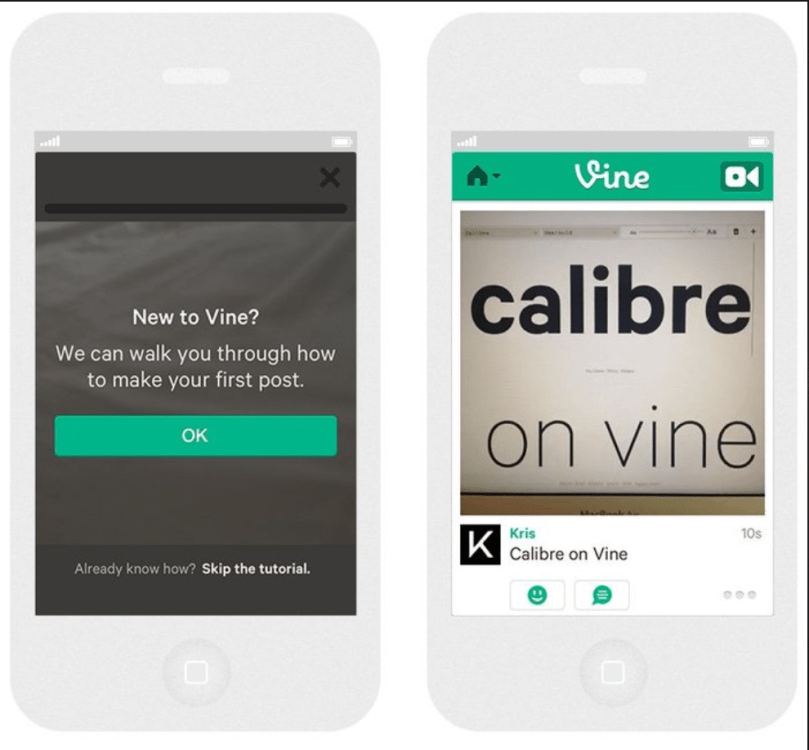 Vine: A Circuit of Culture – Cultural History of the Internet