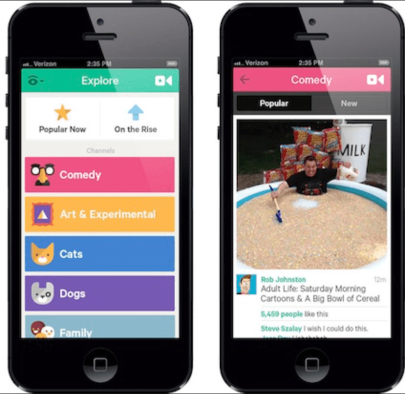 Vine: A Circuit of Culture – Cultural History of the Internet